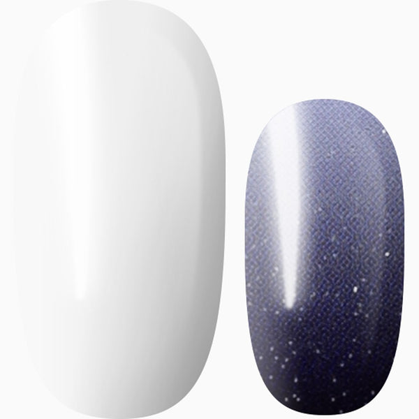 Lunar Eclipse - Lily & Fox